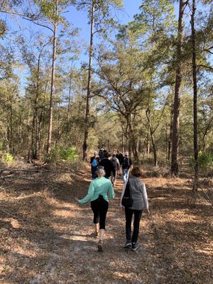 JENNINGS STATE FOREST - Updated January 2025 - 63 Photos - 1337 ...