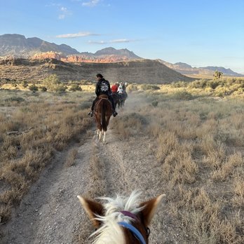 COWBOY TRAIL RIDES - Updated May 2024 - 298 Photos & 159 Reviews - 4053 ...