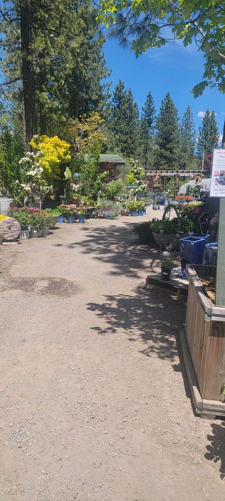 TAHOE TREE COMPANY - Updated December 2025 - 20 Photos & 15 Reviews ...