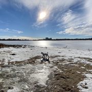 SLOAN’S LAKE PARK - 208 Photos & 108 Reviews - Sheridan Blvd & W 17th ...