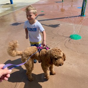 SAHM AQUATIC CENTER - Updated September 2025 - 11 Photos & 16 Reviews ...