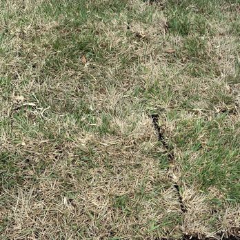 MITCH LAWN SERVICE - Updated October 2025 - 7091 E Tropical Way ...