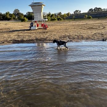 BEALS POINT CAMPGROUND - Updated October 2025 - 62 Photos & 36 Reviews ...