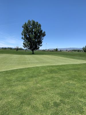 TIMPANOGOS GOLF CLUB - 27 Reviews - 380 E Lakeview Pkwy, Provo, UT - Yelp