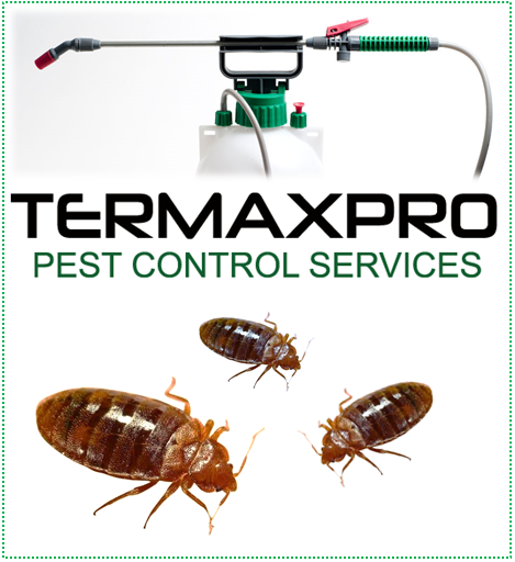 TERMAXPRO PEST CONTROL - Updated December 2025 - 55 Kamias Road, Quezon ...