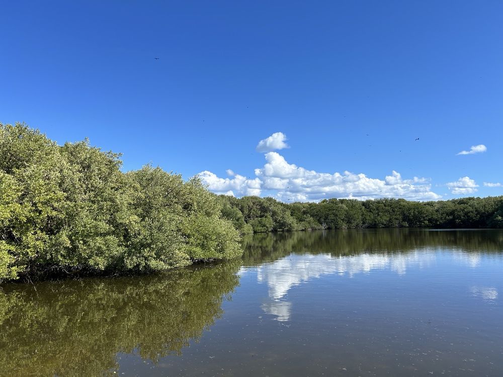 CONTOY ADVENTURES - Carretera a Punta Sam km 4.1, Ferry to Isla Mujeres ...