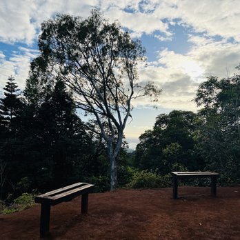 AIEA LOOP TRAIL - Updated December 2025 - 1457 Photos & 320 Reviews ...