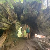 Calaveras Big Trees State Park - 690 Photos & 258 Reviews - Parks ...