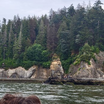 VANCOUVER WATER ADVENTURES - Updated December 2025 - 71 Photos & 68 ...