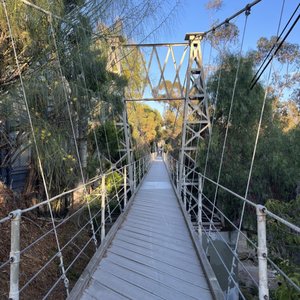 SPRUCE STREET SUSPENSION BRIDGE - 881 Photos & 345 Reviews - Spruce St ...