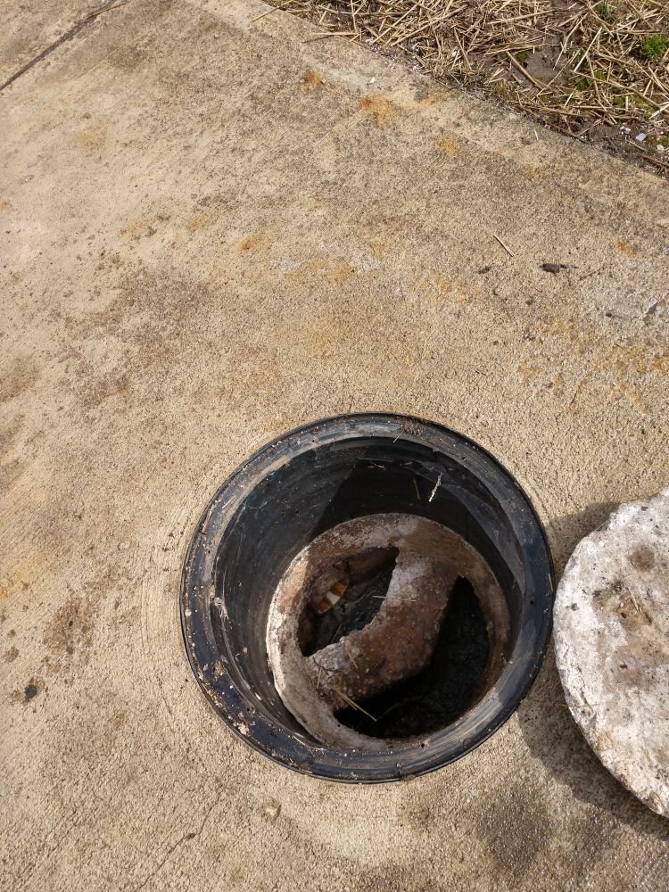 POOP-DYNASTY - Updated July 2025 - 30 Photos - 4383 Huston Rd, Hamilton ...