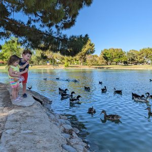 ROADRUNNER PARK - 61 Photos & 24 Reviews - 3502 E Cactus Rd, Phoenix ...