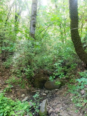 PURDON’S CROSSING - Updated October 2025 - 15 Photos - Purdon Rd ...