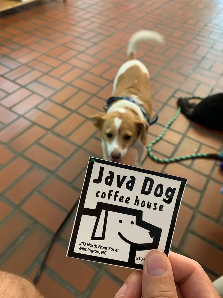 JAVA DOG COFFEE HOUSE - 68 Photos & 73 Reviews - Coffee & Tea - 303 N ...