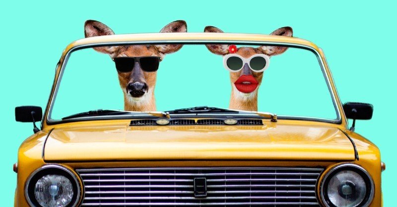 KANGAROO NOTARY - Updated August 2025 - Request a Quote - 3434-135 ...