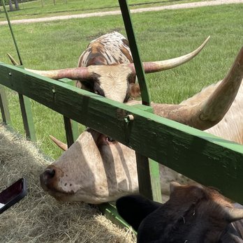 OIL RANCH - Updated September 2024 - 97 Photos & 48 Reviews - 23501 ...