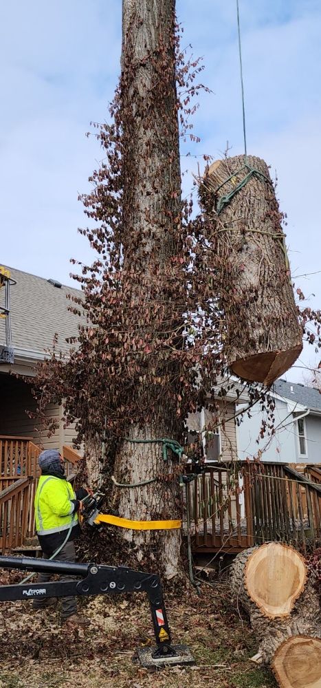 MONSTER TREE SERVICE OF LEE’S SUMMIT - Updated December 2025 - 48 ...