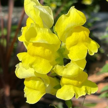 FORSYTH PARK - Updated July 2025 - 1561 Photos & 449 Reviews - Bull St ...