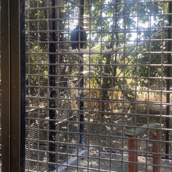 CALIFORNIA RAPTOR CENTER - Updated January 2026 - 58 Photos & 23 ...