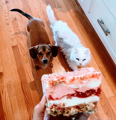 MODERN CONE - Updated December 2025 - 310 Photos & 122 Reviews - 28616 ...