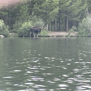 TRAIL RIDGE MARINA - TEMP. CLOSED - Updated December 2025 - 101 Photos ...