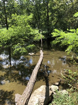 BIG ROCK PARK - Updated June 2025 - 90 Photos & 14 Reviews - 2199 Park ...