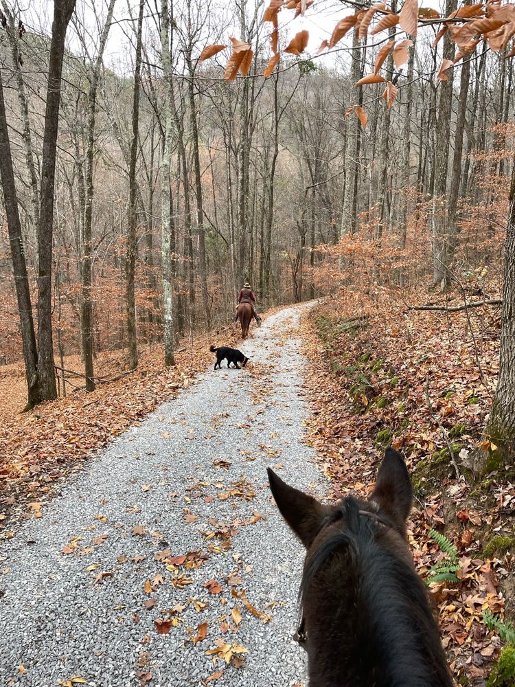 TWIN VALLEY HORSE RANCH - Updated May 2024 - 53 Photos - 2848 Old ...