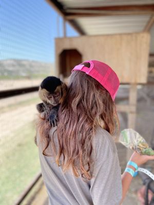 CHALK BLUFF RIVER RESORT - Updated August 2025 - 108 Photos & 62 ...