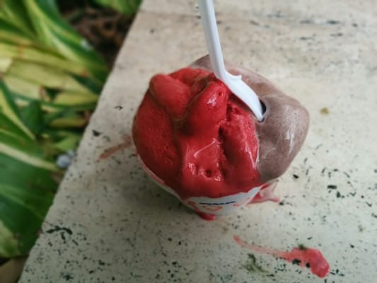 REX CREAM - 23 Photos & 34 Reviews - Calle Méndez Vigo S/N, Mayaguez ...