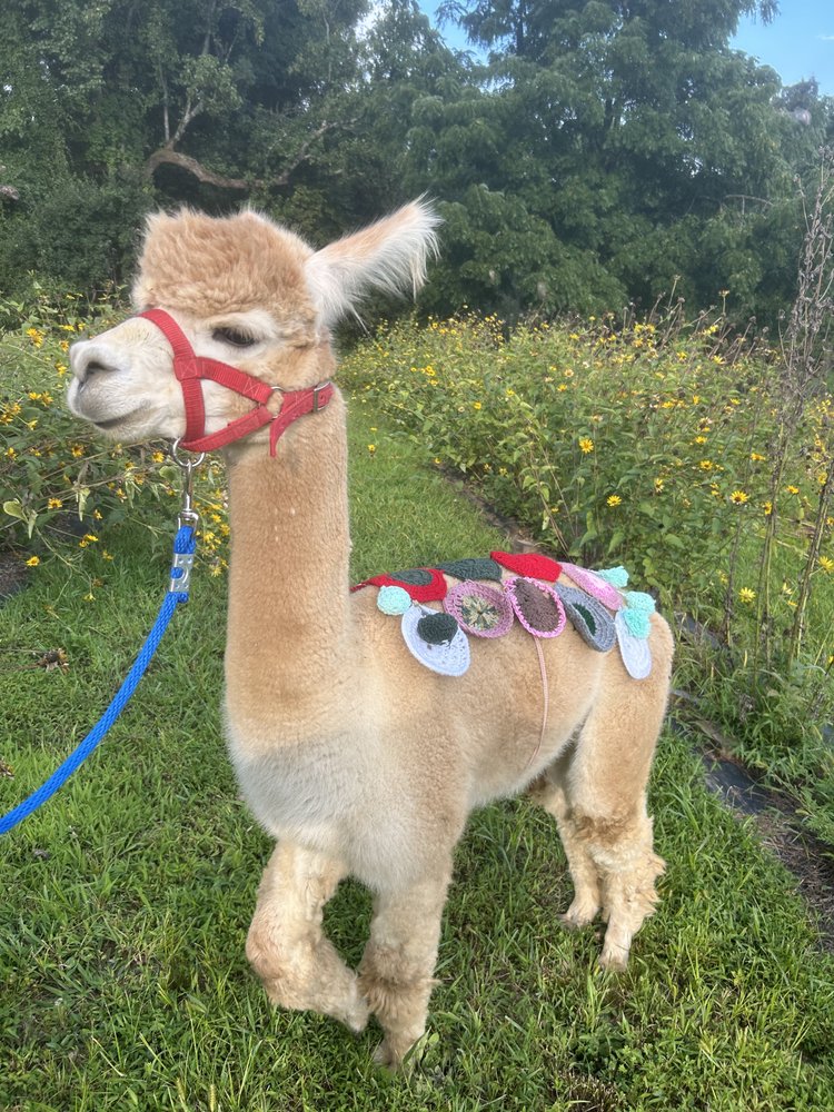 PEQUEST CUT OFF FARM - Updated November 2025 - 196 Pequest Rd, Green ...