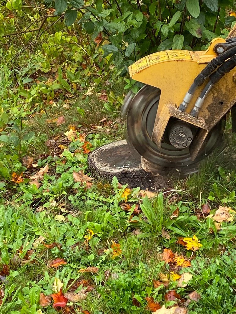 STUMP BE GONE - Updated December 2025 - Request a Quote - New Hamburg ...