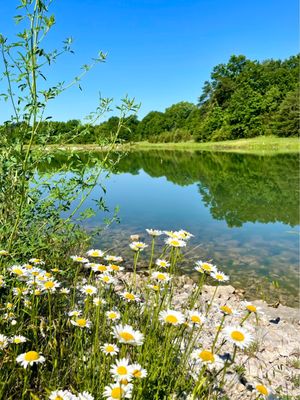 AUGUST A. BUSCH MEMORIAL CONSERVATION AREA - Updated June 2025 - 47 ...
