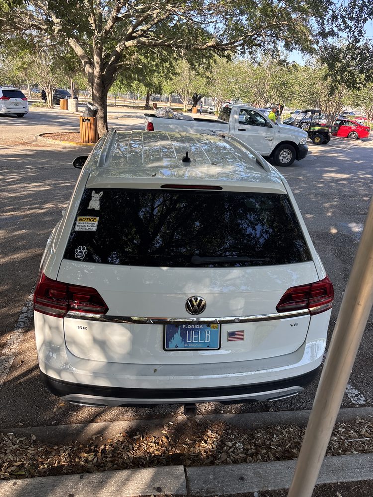 ELITEBLEU LIVERY - Updated October 2025 - Winter Garden, Florida - Town ...