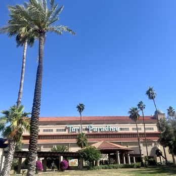 TURF PARADISE - Updated December 2025 - 358 Photos & 127 Reviews - 1501 ...