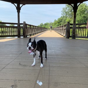 CLAUDE MOORE RECREATION CENTER - Updated June 2025 - 44 Photos & 51 ...