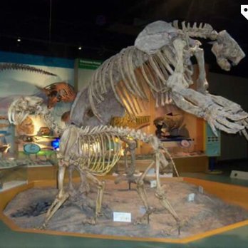 Mississippi Museum of Natural Science - 129 Photos & 27 Reviews ...