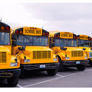 STARR BUS CHARTER & TOURS - Updated May 2025 - 39 Photos & 27 Reviews ...