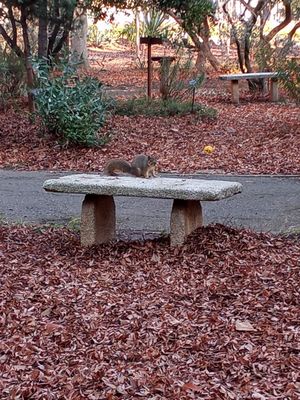 UNIVERSITY ARBORETUM - Updated December 2025 - 52 Photos - 6000 J St ...