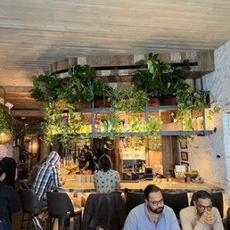 WAYAN - Updated December 2025 - 3371 Photos & 836 Reviews - 20 Spring ...