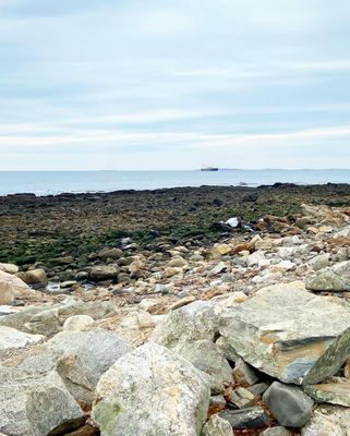 ODIORNE POINT STATE PARK - 65 Photos & 28 Reviews - Rye, NH - Yelp