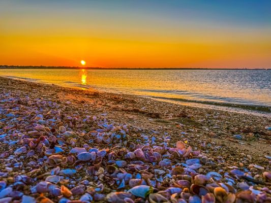CONIMICUT POINT PARK - Updated January 2026 - 81 Photos & 23 Reviews ...