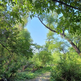 LLELA NATURE PRESEVE - Updated January 2026 - 31 Photos - 201 E Jones ...