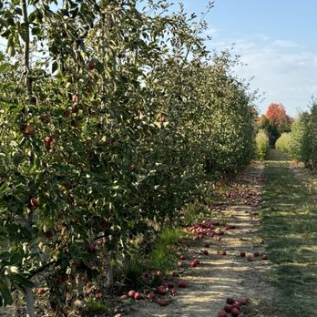 TERHUNE ORCHARDS - Updated October 2025 - 644 Photos & 400 Reviews ...