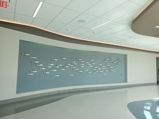 ADVENTHEALTH FISH MEMORIAL - Updated October 2025 - 32 Photos & 68 ...