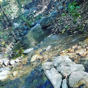 HOLY JIM FALLS TRAIL - Updated December 2025 - 565 Photos & 219 Reviews ...