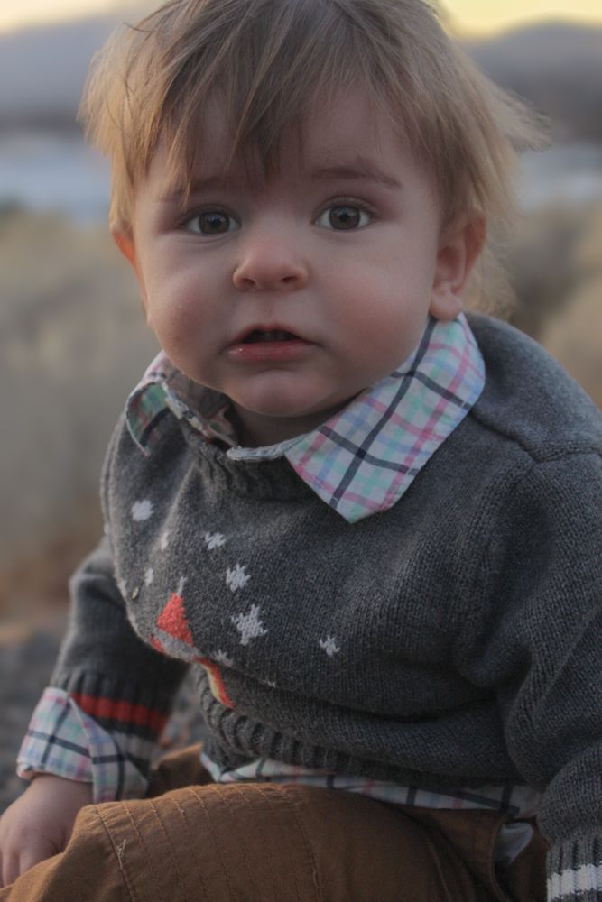 THE RIGHT BUTTON PHOTOGRAPHY - Updated April 2024 - Request a Quote ...