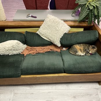 SCRUFFY’S CAFE - Updated November 2025 - 33 Photos & 12 Reviews - 1015 N Broadway, Knoxville ...