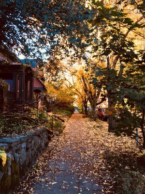 ALPHABET DISTRICT - Updated July 2024 - 34 Photos & 10 Reviews - 500 NW ...