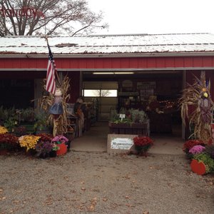 SCHAEFER FARMS - 97 Photos & 30 Reviews - 1051 County Rte 523 ...