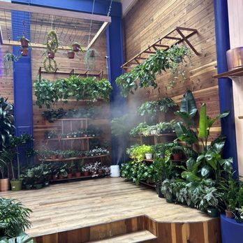 THE MELLOW SF - Updated November 2025 - 128 Photos - 60 Reviews - 1401 ...